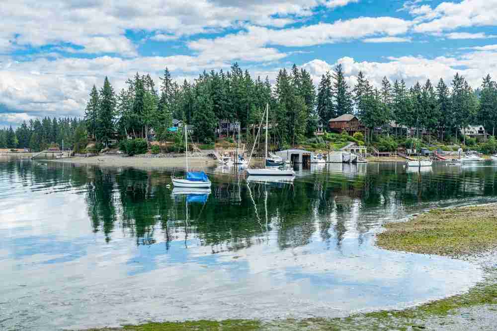 Is Living in Fox Island Right for You? 🌲 Everything to Know About ...